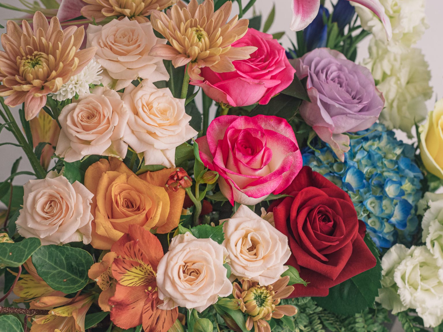 Funky Modern Arrangement - Sentiments Flowers