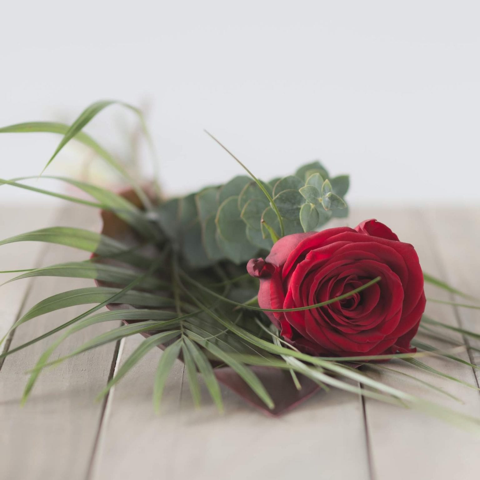 Single Bloom - Flower Cone - NZ Grown Sentiments Flowers